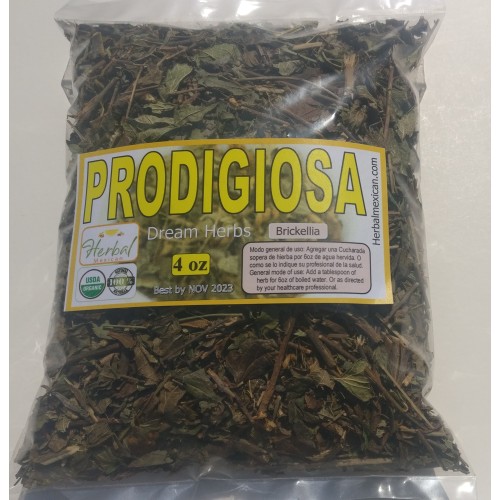 Prodigious Immortelle Herb Tea Brickelia Kalanchoe Pinnata Organic ...